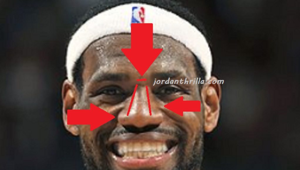 Anonymous Doctor Accuses Lebron James of Getting a Nose Job Plastic ...