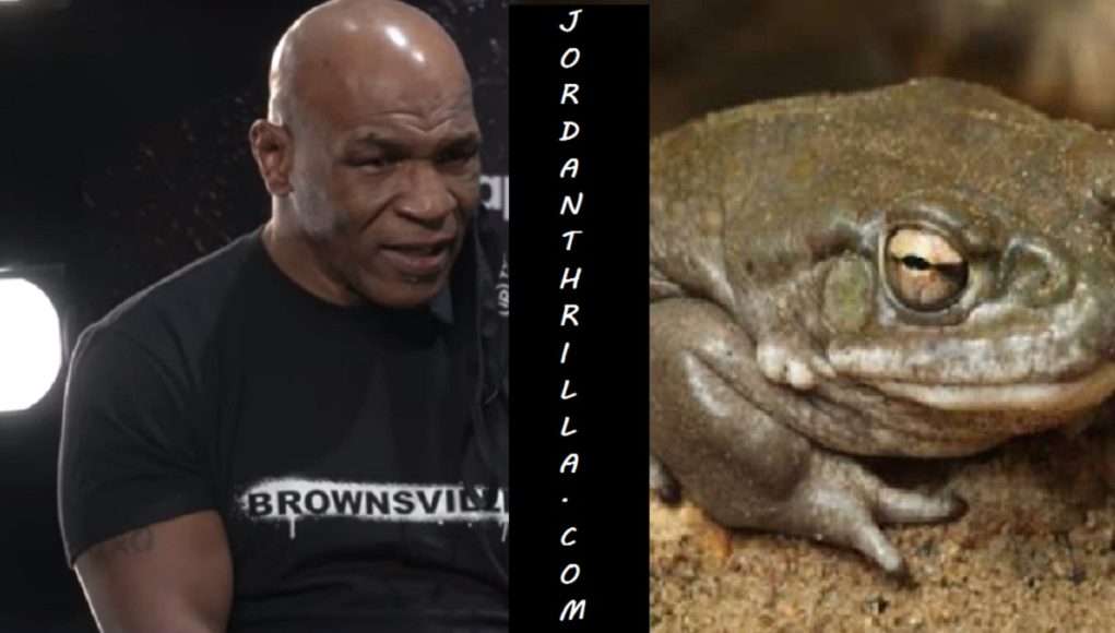 Mike Tyson Reveals "Toad Venom" Drug Alternative Medicine Sent a Spirit ...