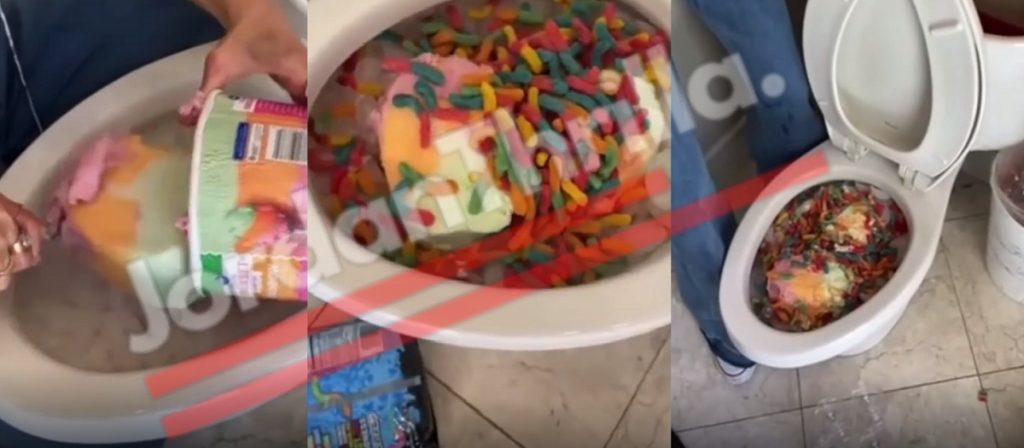Toilet Bowl Punch Hack Goes Viral: The Science Behind Toilet Bowl Ice ...