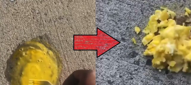 New York Man Cooking Eggs On Hot Concrete Goes Viral - JordanThrilla