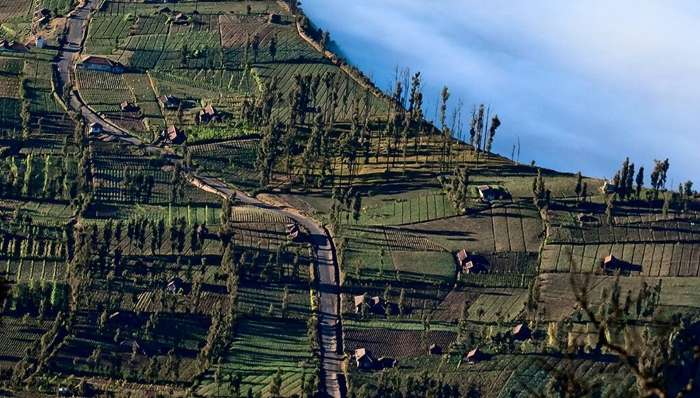 What Does the 2024 Polar Vortex Forecast in Texas Mean for Residents? A Look into the Weather ...