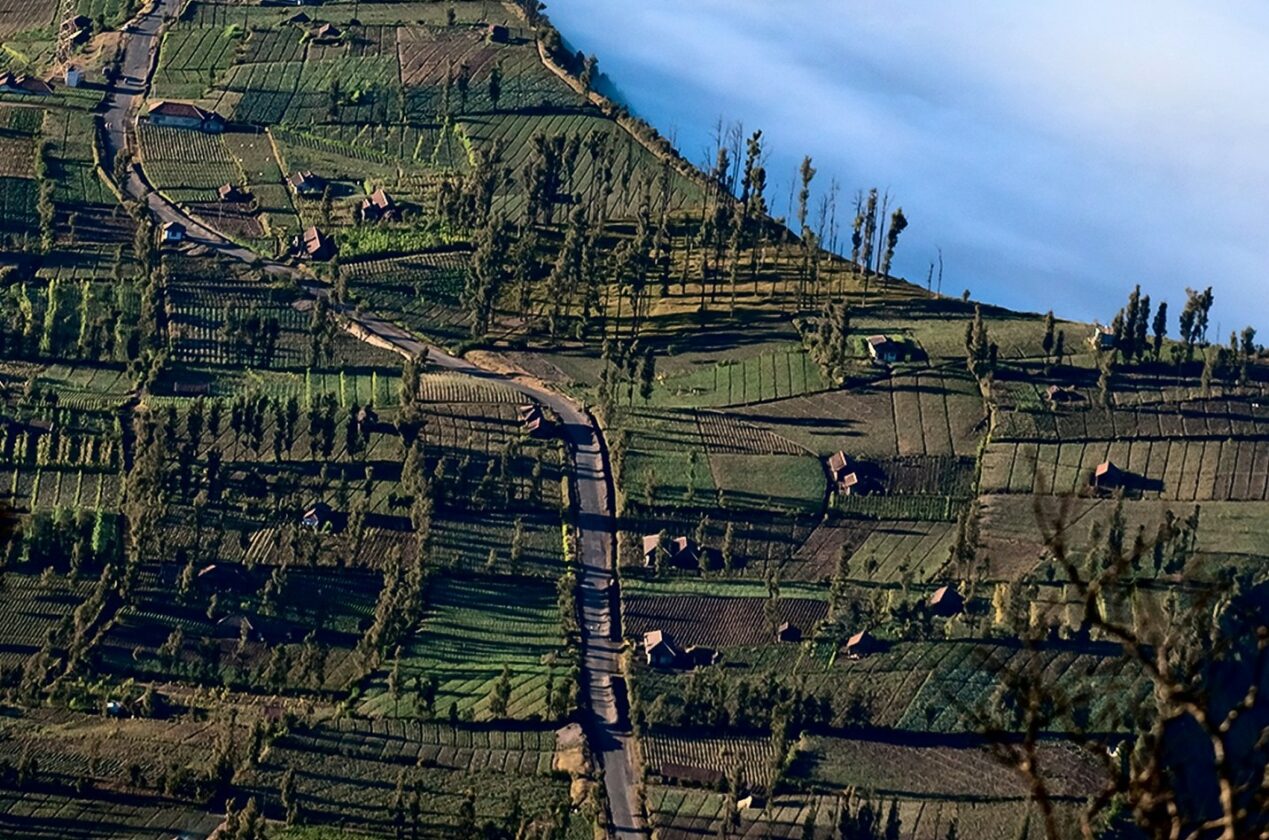 What Does 'Bokep Indo Terbaru' Mean and Why is It Viral in 2024?