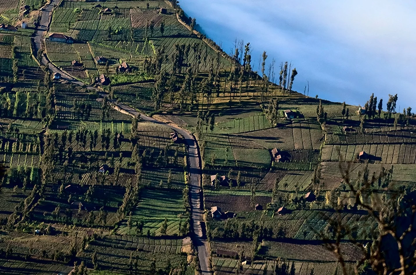 What Does 'Bokep Indo Terbaru' Mean and Why is It Viral in 2024?