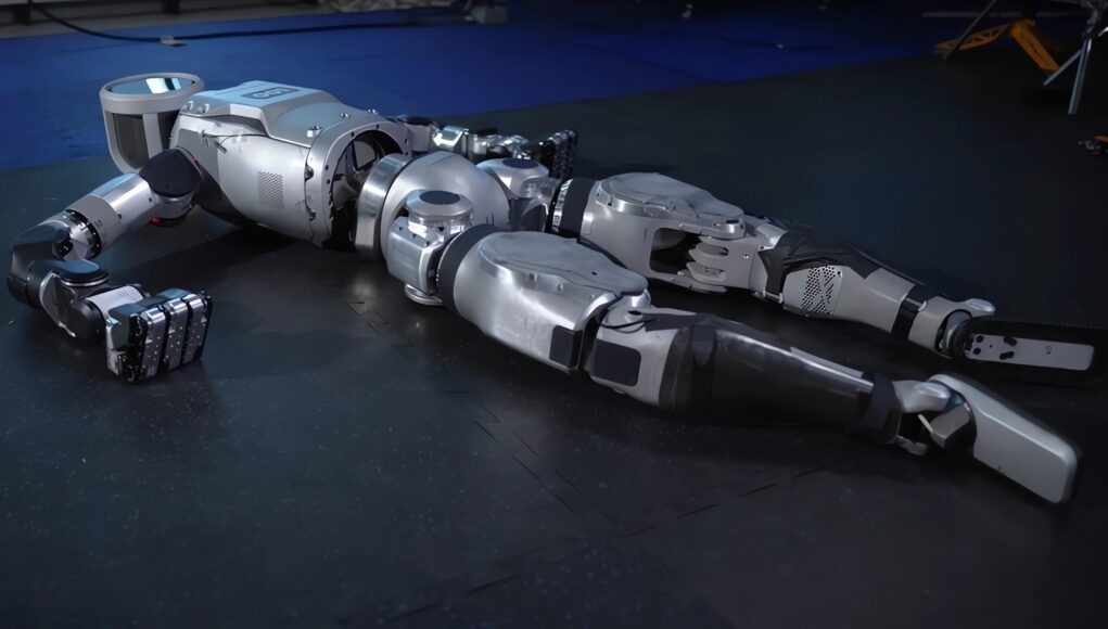 Referee Man Flexing Costco Card on Woman in Crowd During Detroit Mercy ...