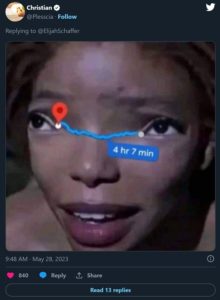 Did Halle Bailey Shut Down Her Instagram Account After Little Mermaid ...