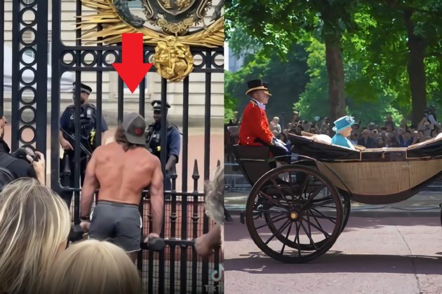 Was Adrenochrome Conspiracy Why Liver King Was At Queen Elizabeth Iis