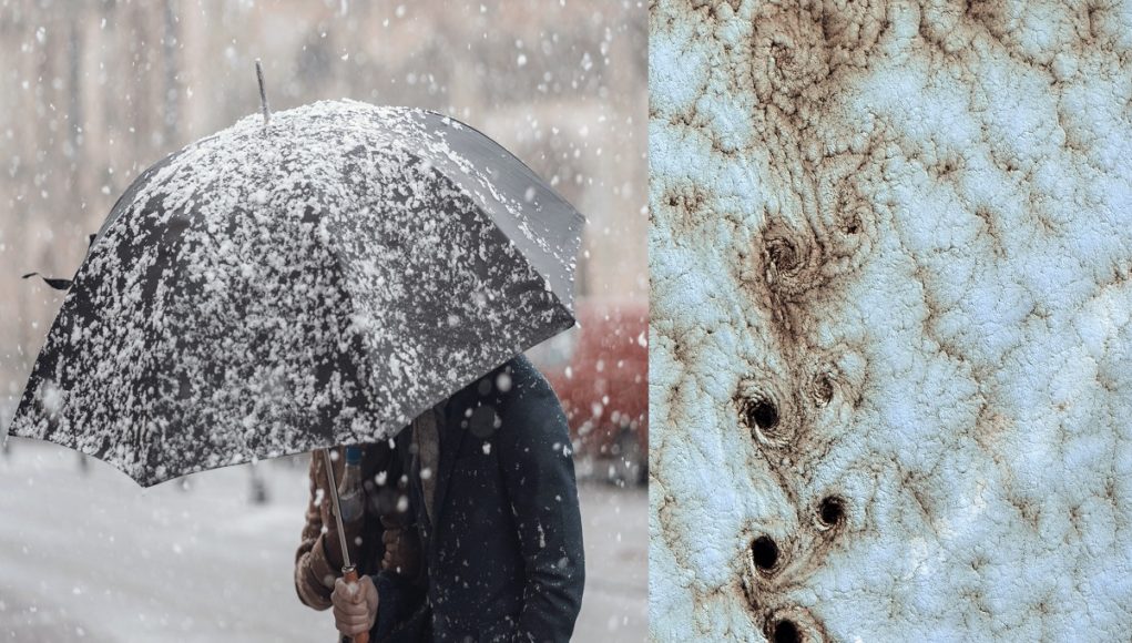 What Does 'Bokep Indo Terbaru' Mean and Why is It Viral in 2024?