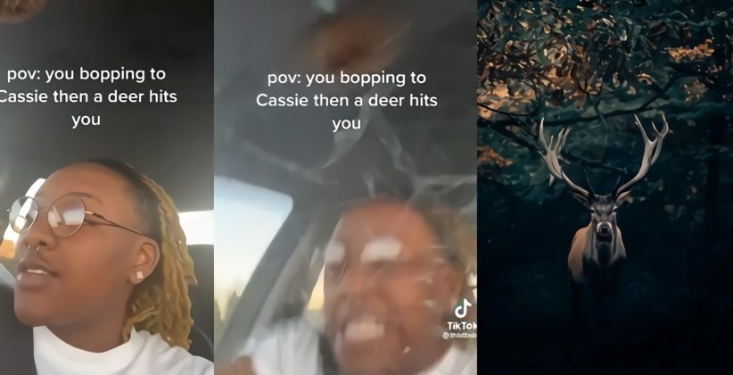 POV Car Accident Video Shows Woman Hitting Deer While Listening to ...