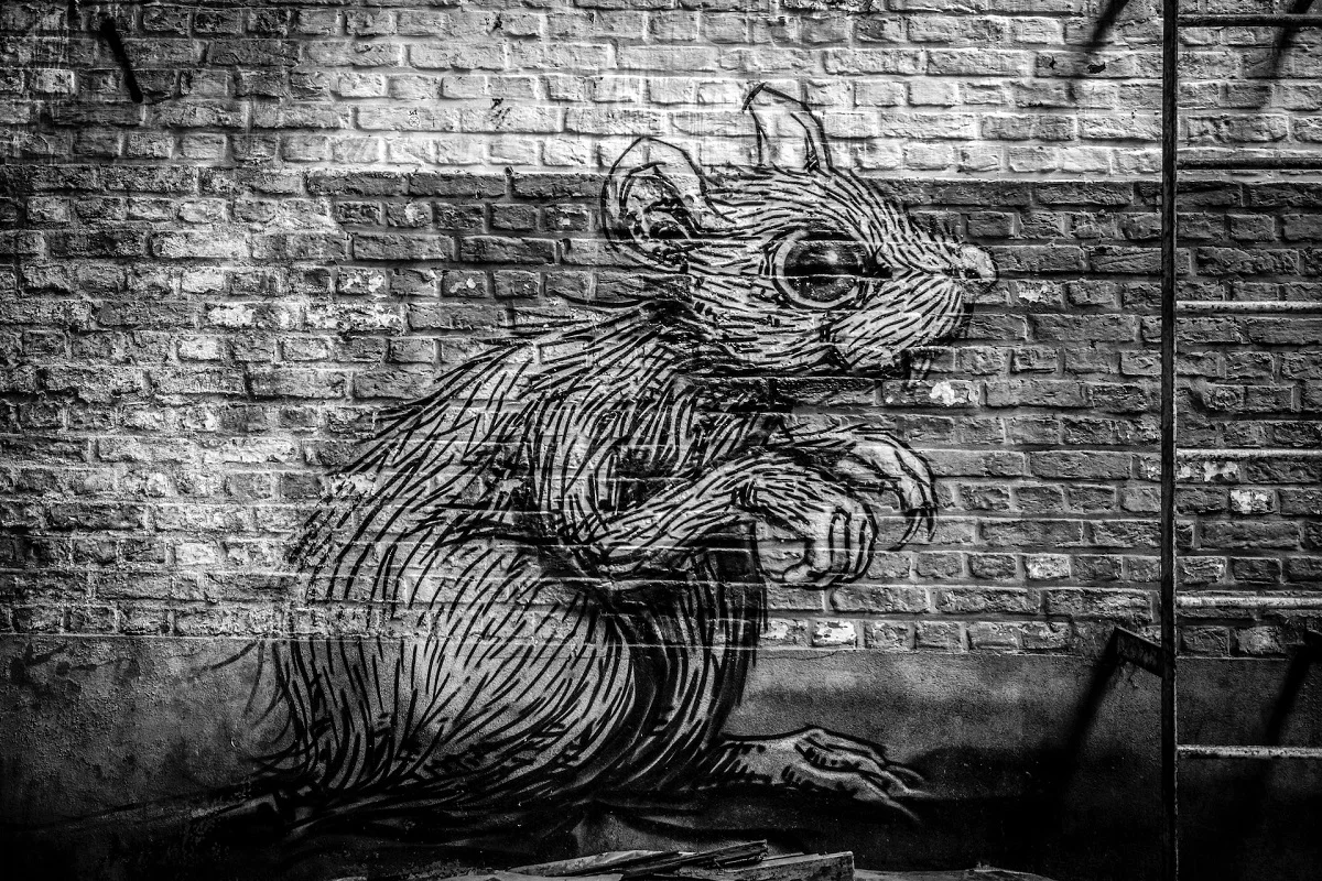 Why a Recent Rat Lungworm Discovery Poses a Serious Health Threat to ...