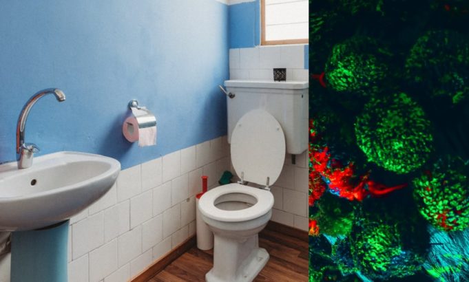 Alien Growth Found in Toilet by Reddit User is Going Viral and ...