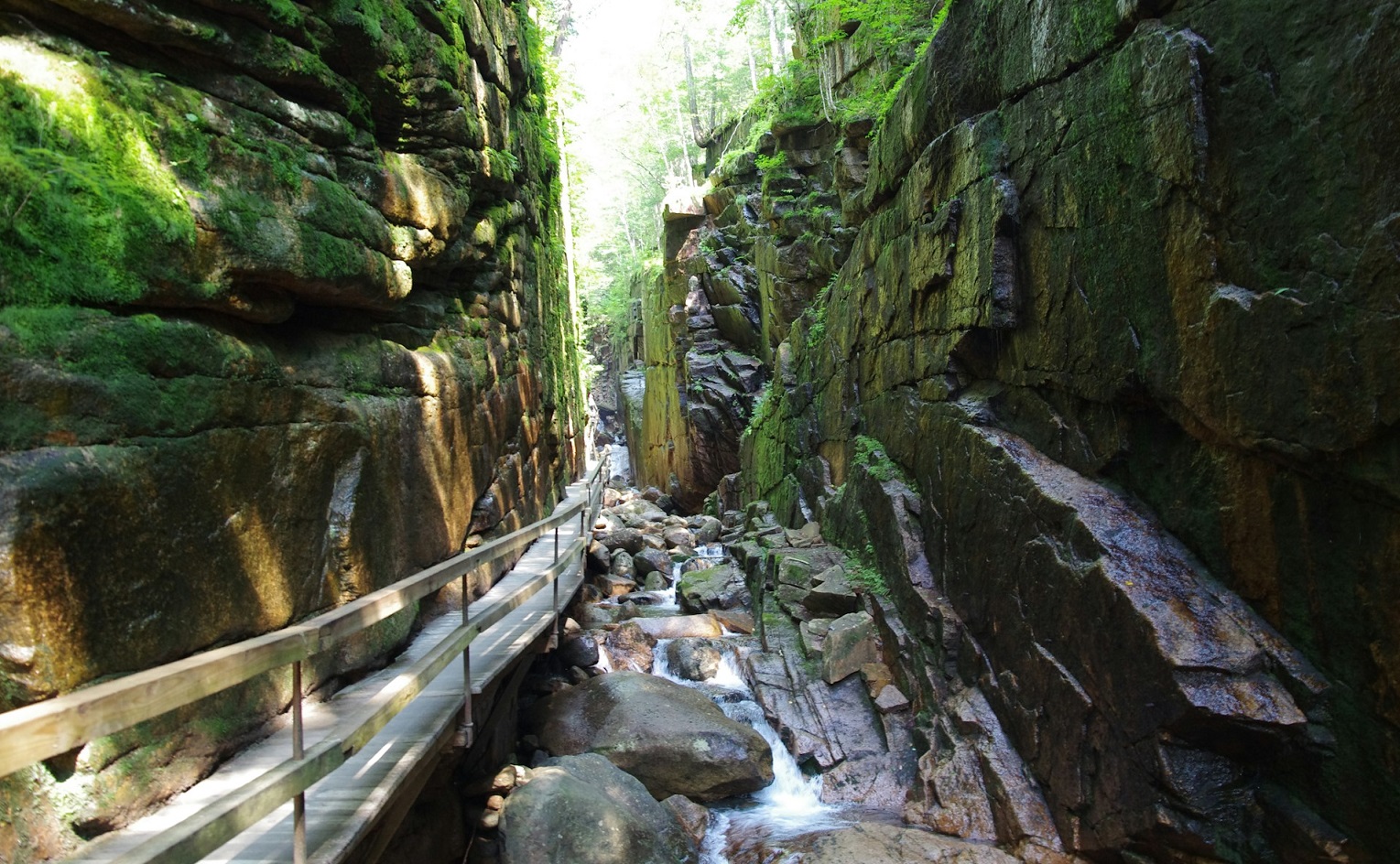 Details Behind the Conspiracy Theory Involving White Mountains National ...